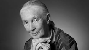 Jane Goodall Remembered